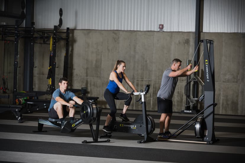 What is the Erg?